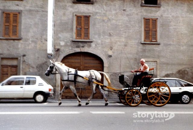 Il Calesse | Storylab